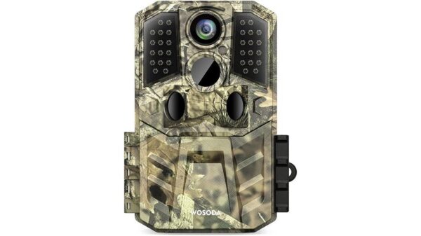 10 Best Wildlife Camera Traps